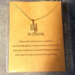 Jewelry | Owl Wisdom Necklace | Poshmark